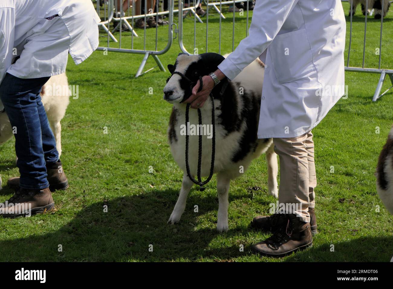 UK farming and agriculture Stock Photo - Alamy