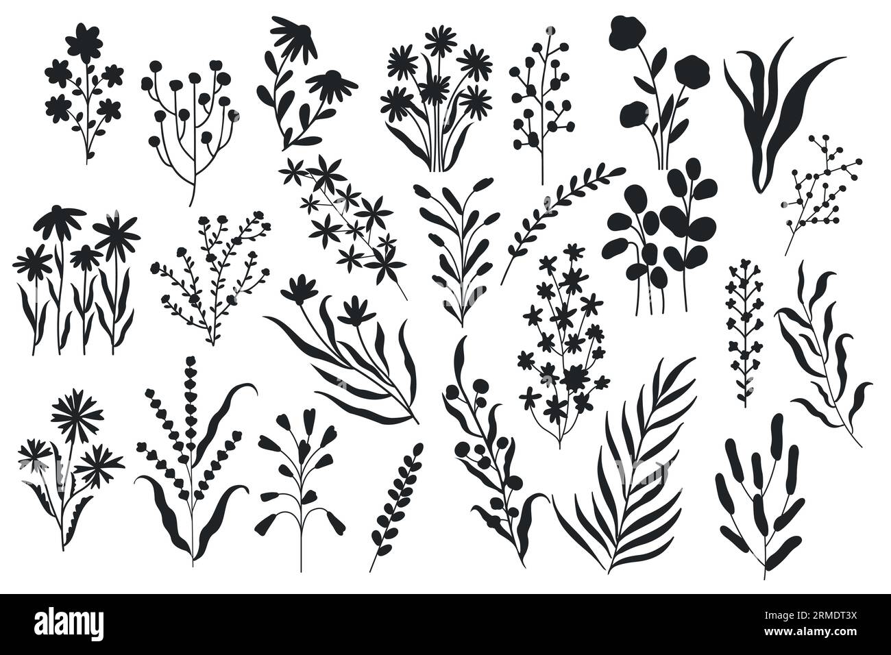 Wild flowers silhouette. Minimalistic floral botanical elements, nature ...