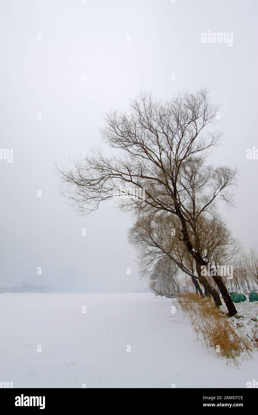 Edge withered hi-res stock photography and images - Alamy