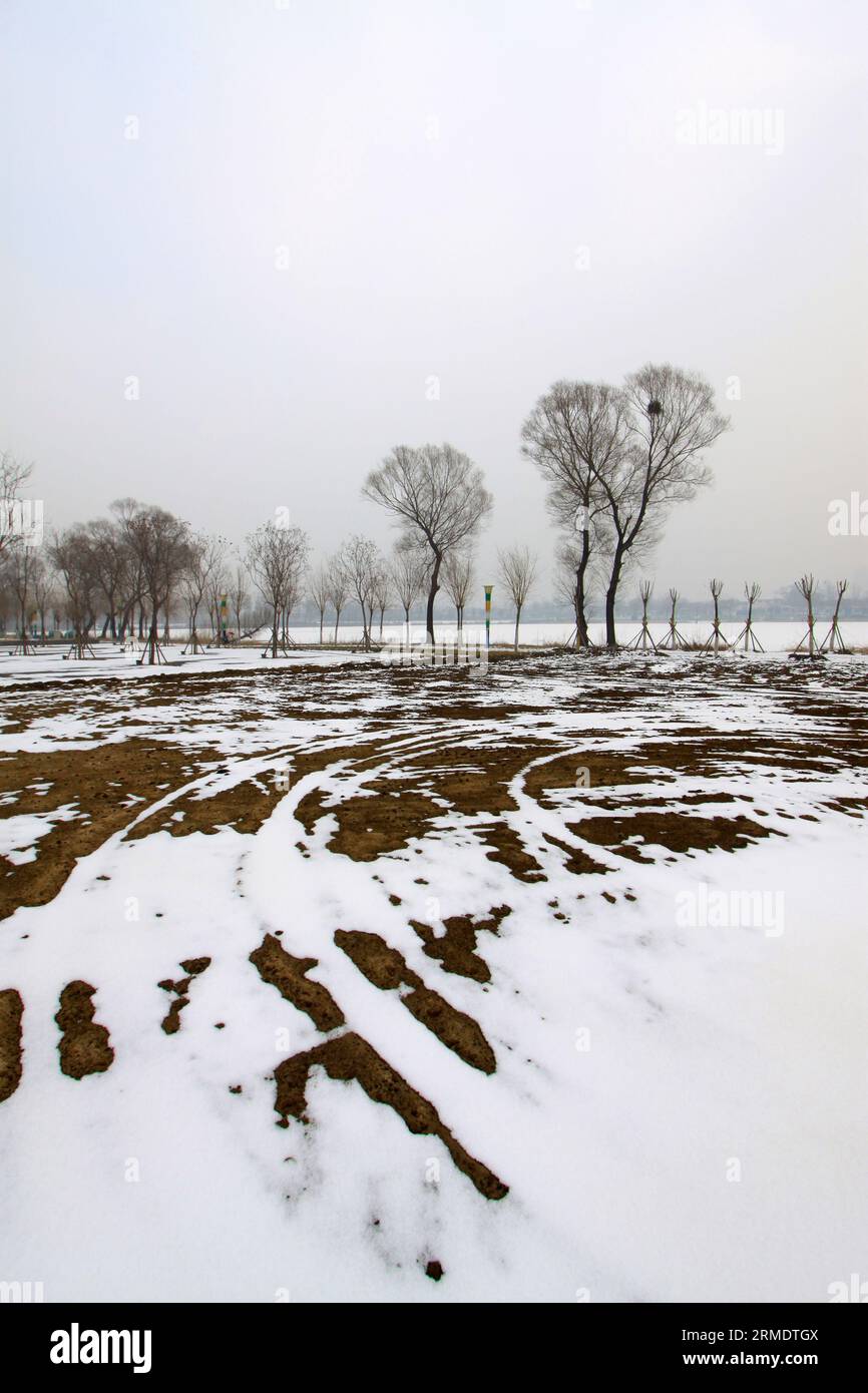 curve imprint on the snow, in a park, North China Stock Photo - Alamy