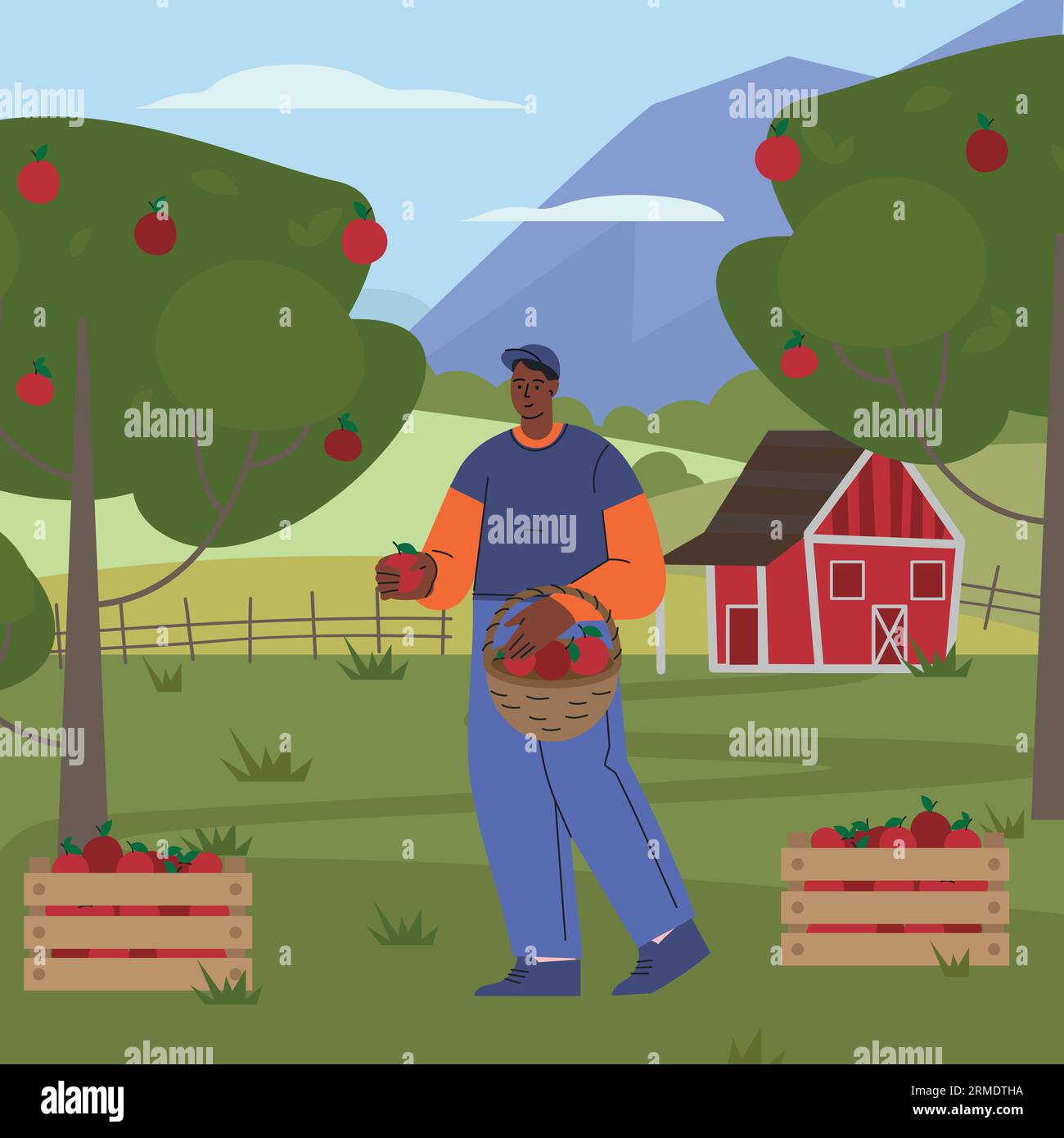 Farmer at work, agricultural worker harvesting crops. A farmer harvests apples. Life in farm ...