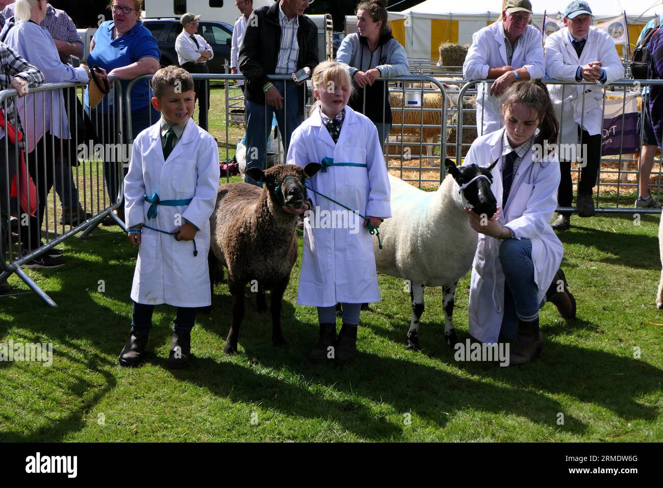 UK farming and agriculture Stock Photo - Alamy