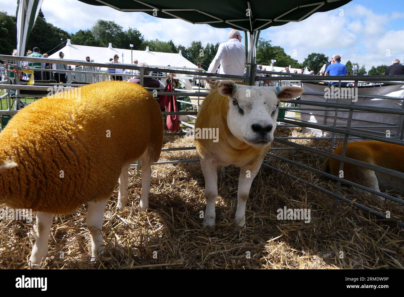Uk farming agriculture hi-res stock photography and images - Alamy