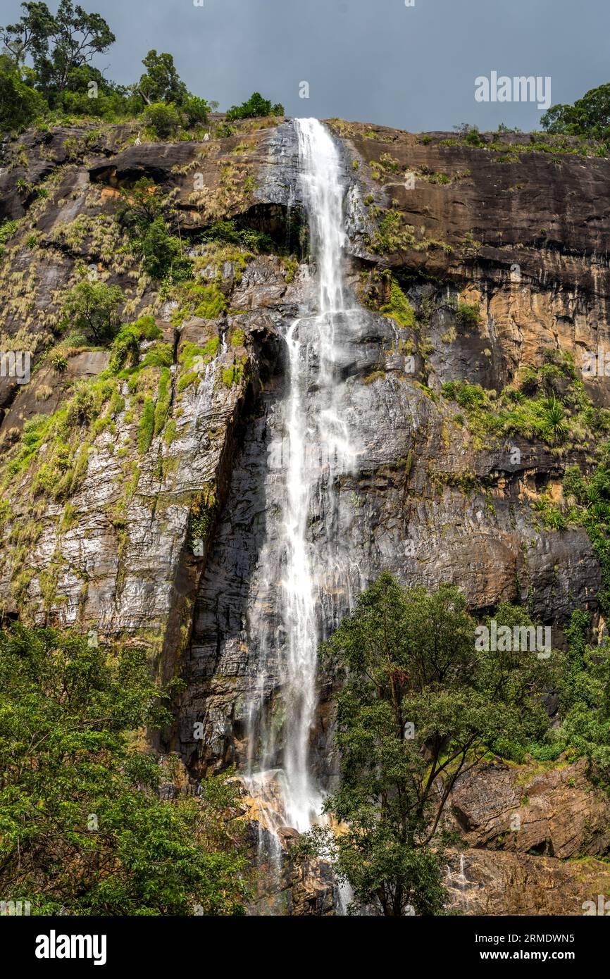Stunning Photo of Diyaluma falls Waterfall in jungle of Ella Sri Lanka ...