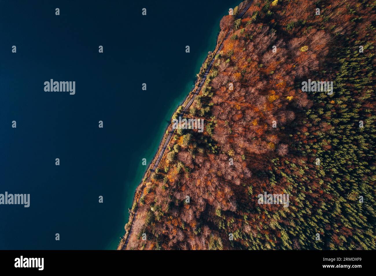 Aerial Top down texture Autumn Trees with turquoise lake, germany ...
