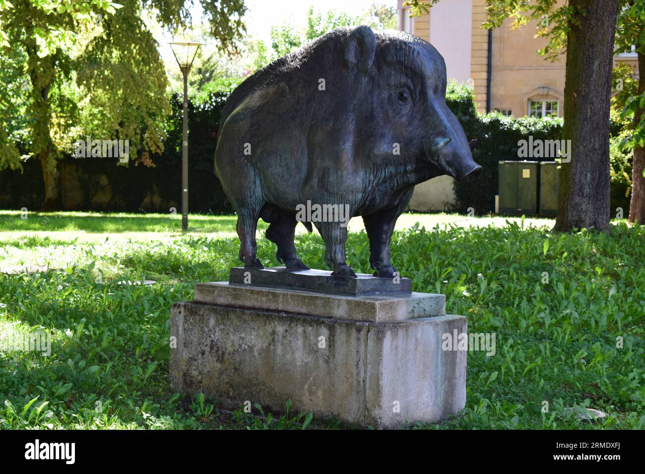wild boar statue in a park Stock Photo - Alamy