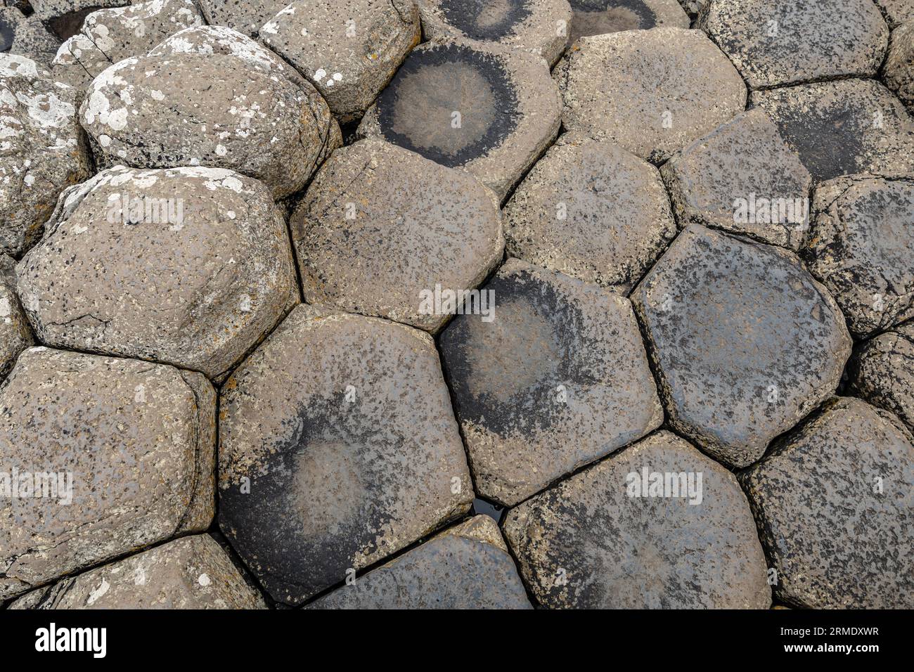 Giant Causeway, basalt columns, Causeway Coastal Path, County Antrim ...