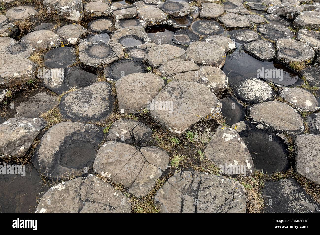 Giant Causeway, basalt columns, Causeway Coastal Path, County Antrim ...