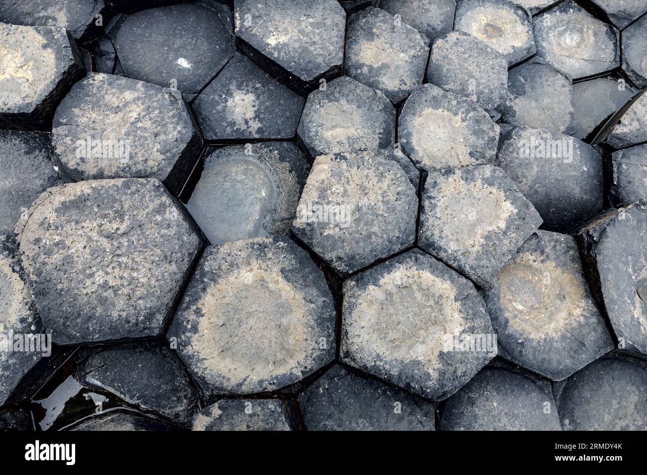 Giant Causeway, basalt columns, Causeway Coastal Path, County Antrim ...