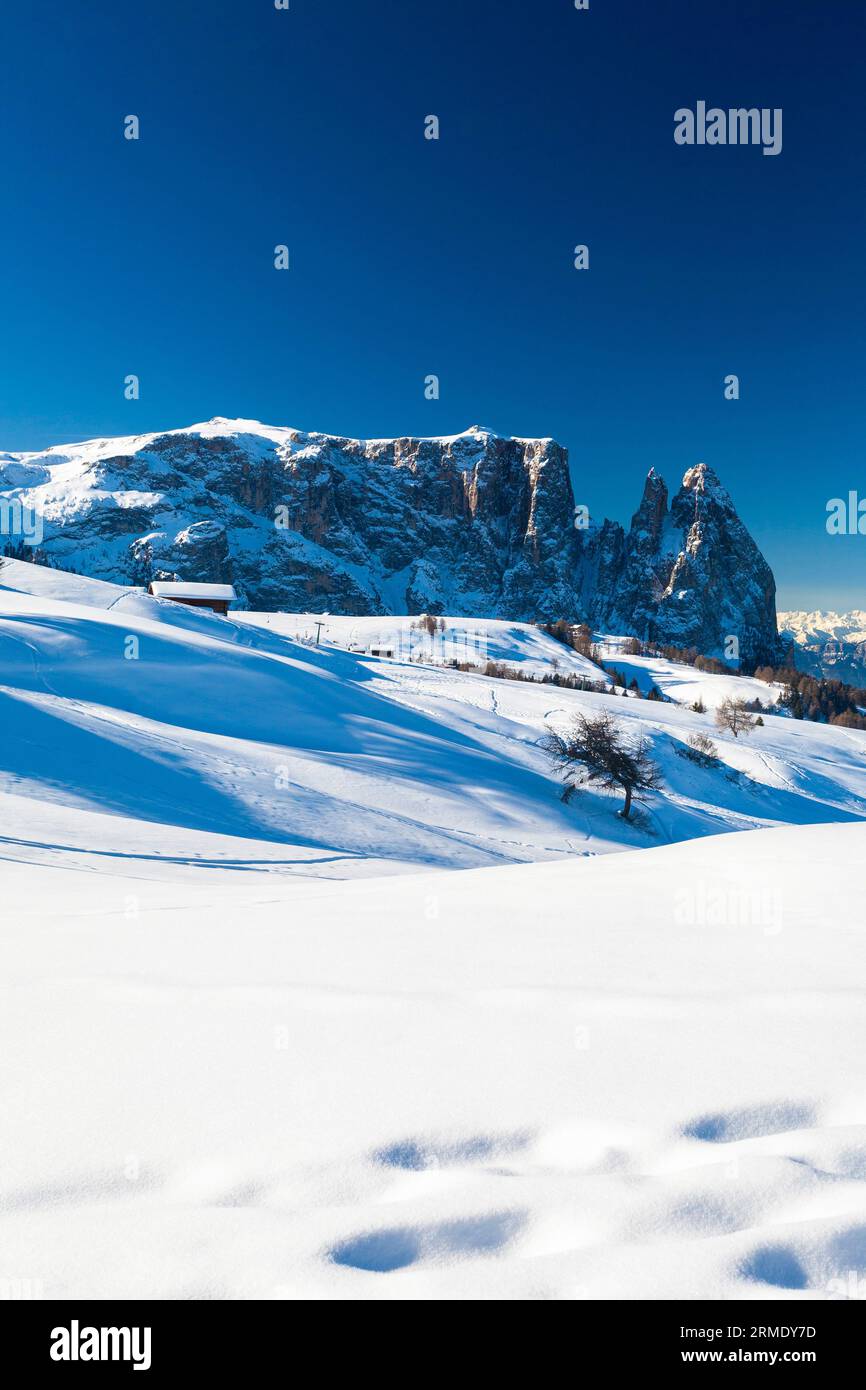 Sciliar and Santner peaks, Seiser Alm, Dolomites, Italy Stock Photo - Alamy