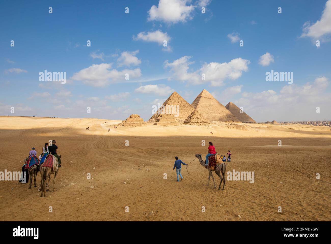 Camels riding at pyramids desert hi-res stock photography and images ...