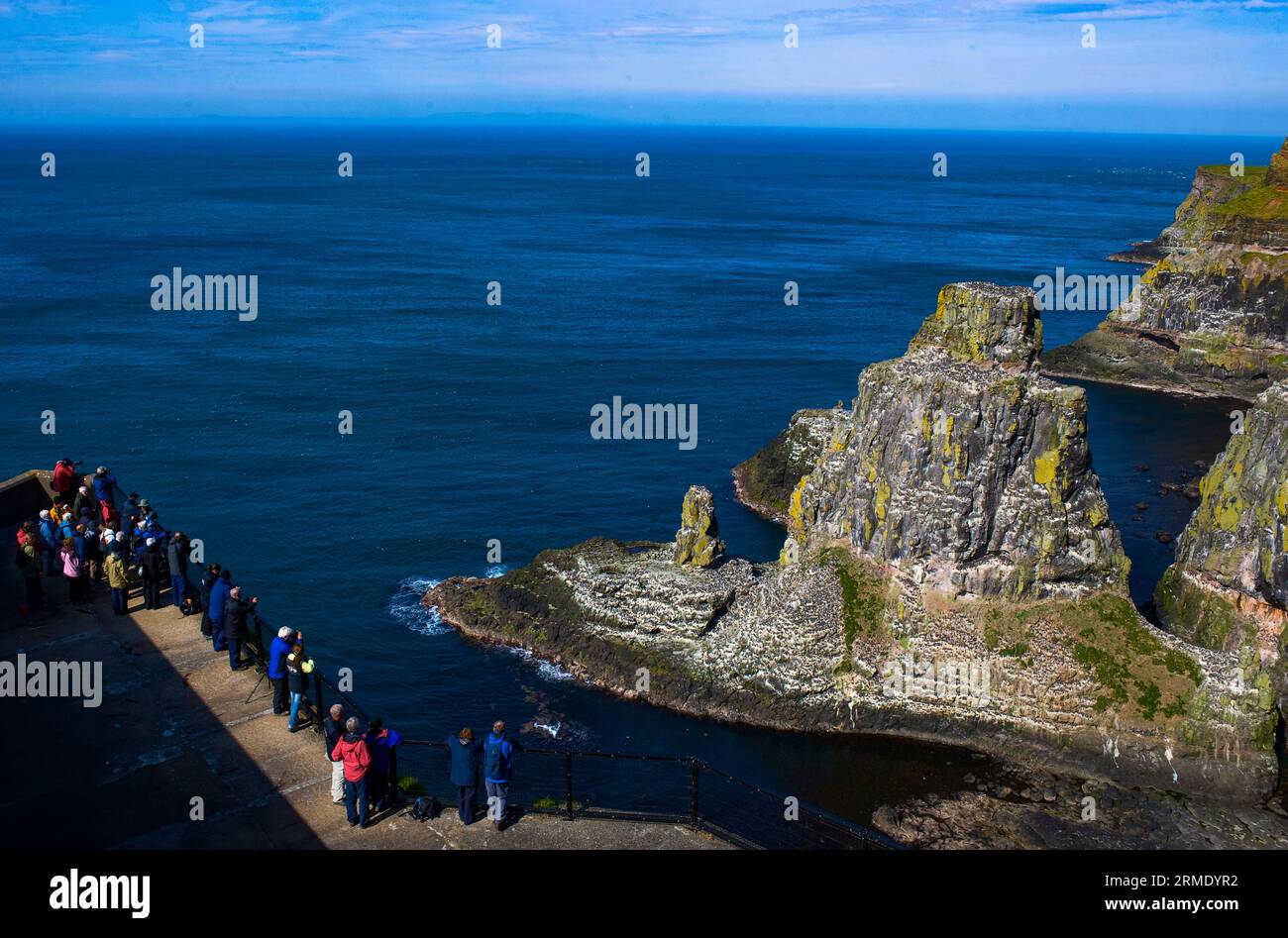 The R.S.P.B Nature Reserve on Rathlin Island, County Antrim, Northern ...