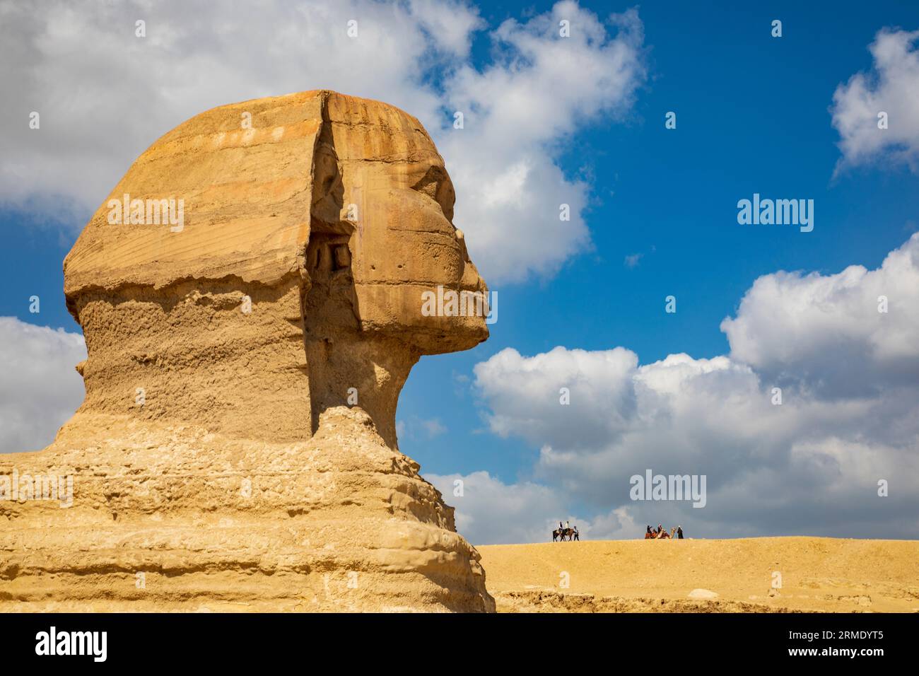 The head of the Great Sphinx of Giza Stock Photo - Alamy