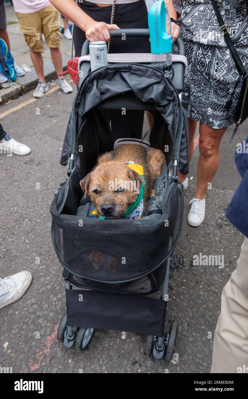Notting Hill Carnival 2023 Children's Day captures beaming kids in ...