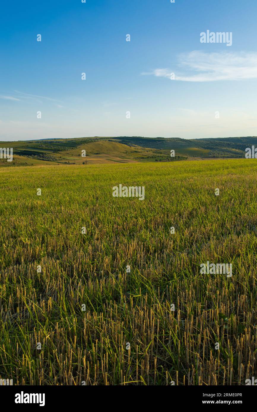 A magical evening atmosphere during the summer. A beautiful plain in ...