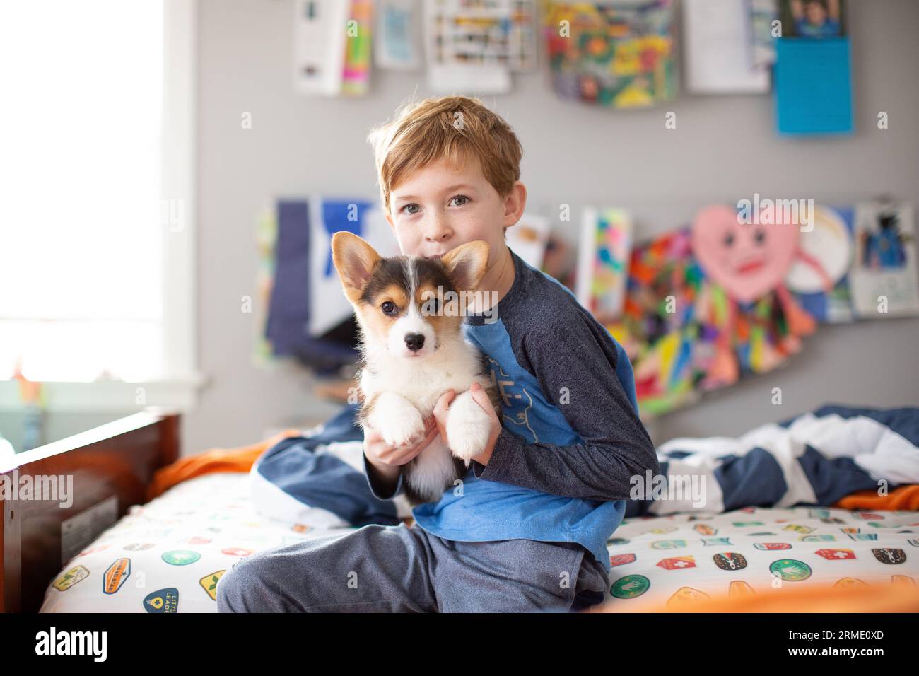 Cute young boy holding adorable corgi puppy on lap in bedroom Stock ...
