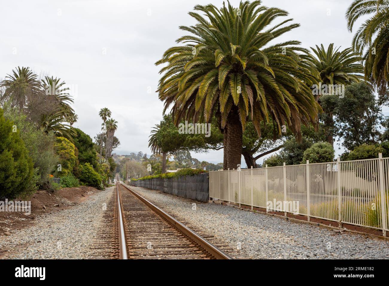 Railroad tracks surrounded by gravel and lush green palm trees with ...