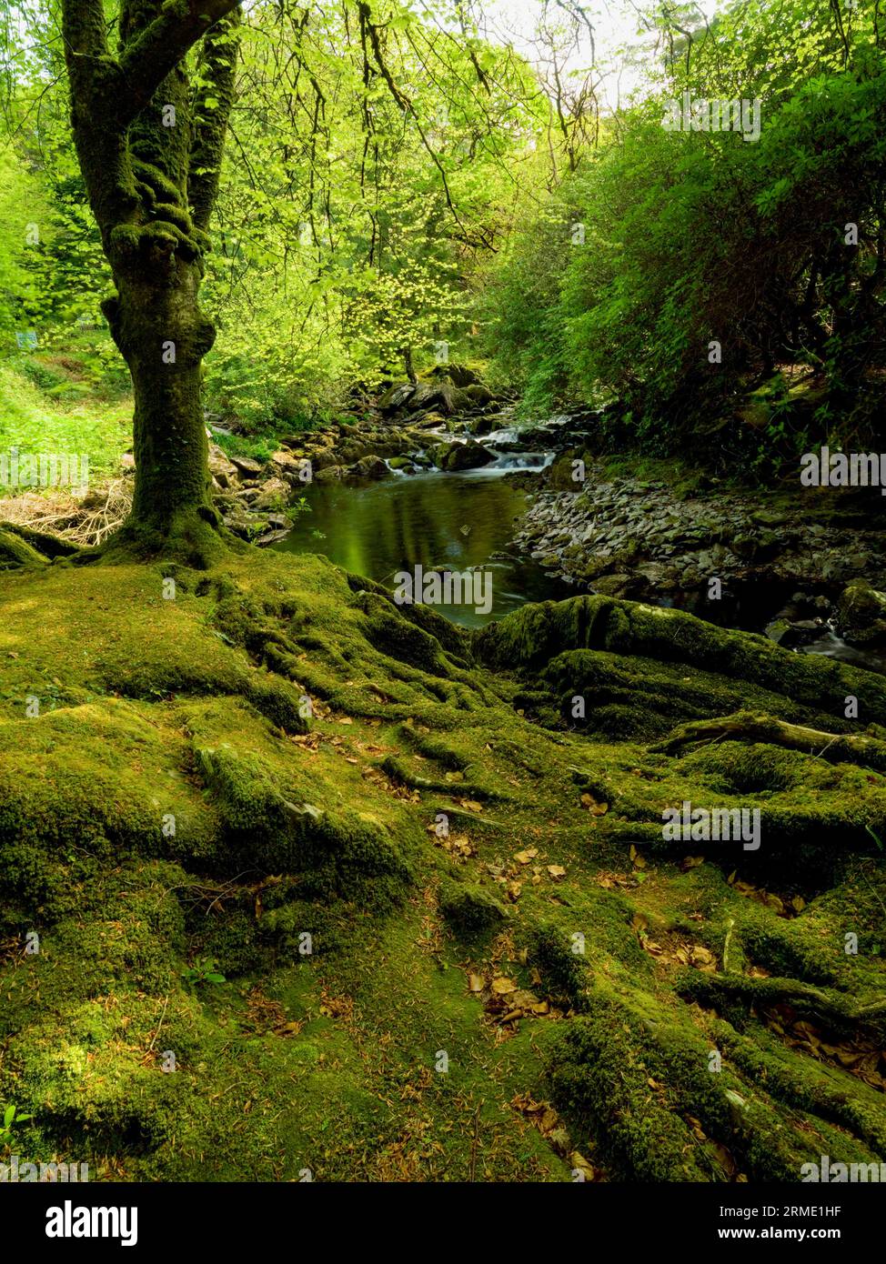 Owenshagh river hi-res stock photography and images - Alamy