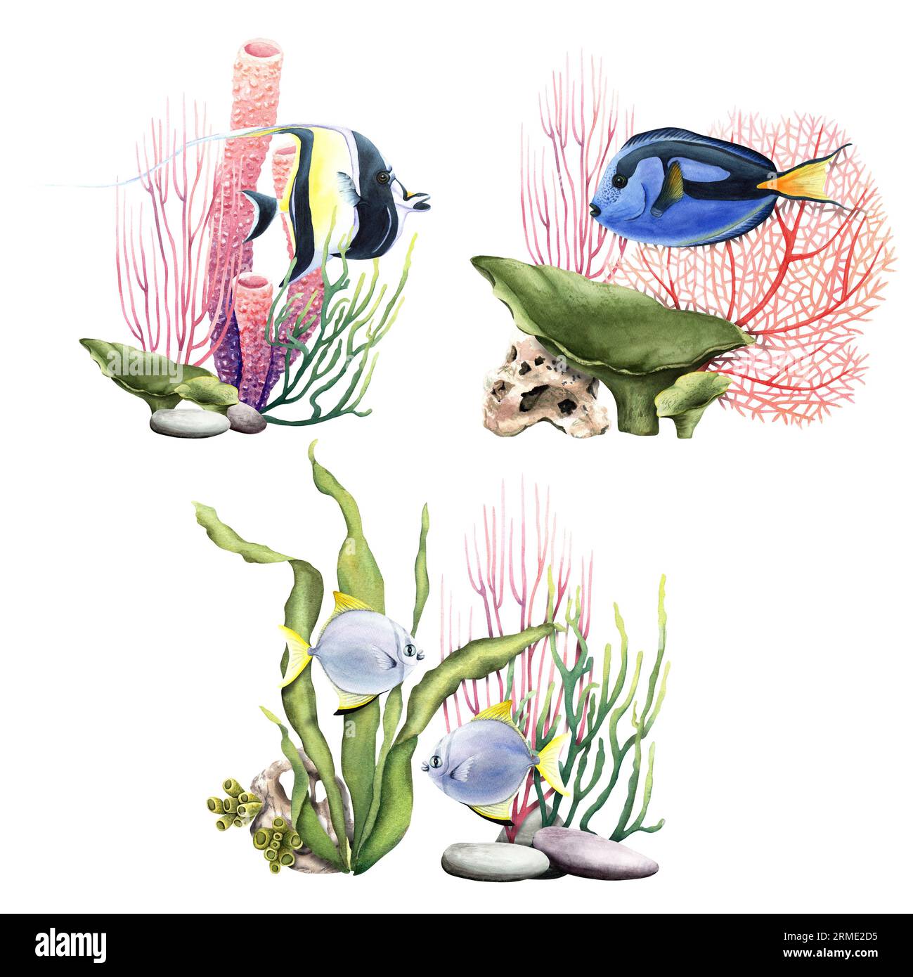 A set of coral reef underwater compositions with corals and fishes ...