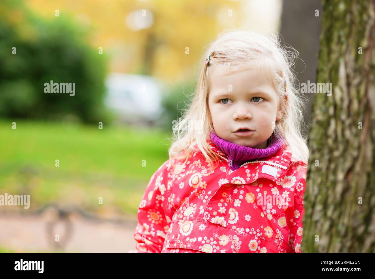 Outdoor autumn portrait of little girl Stock Photo - Alamy