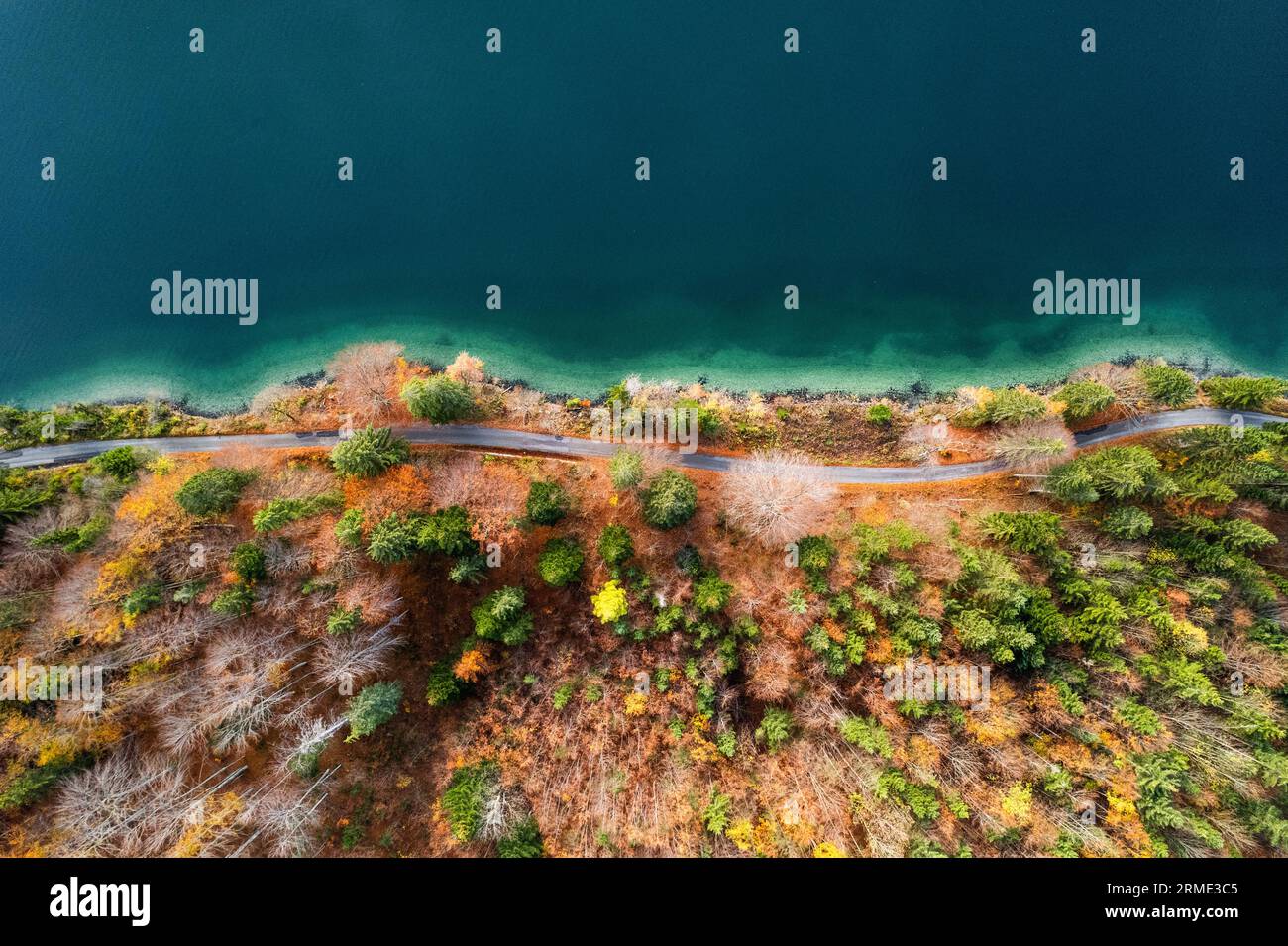 Aerial Top down texture Autumn Trees with turquoise lake, germany ...
