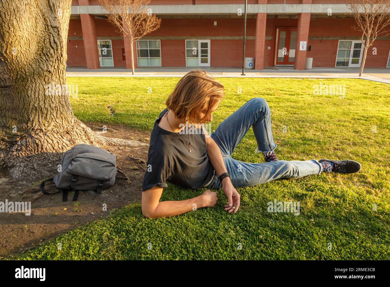 Grass under tree hi-res stock photography and images - Alamy