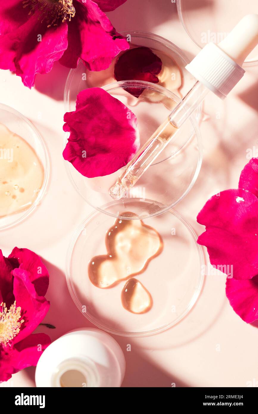 Natural cosmetic gel swatches in petri dish and pink rose flowers close ...