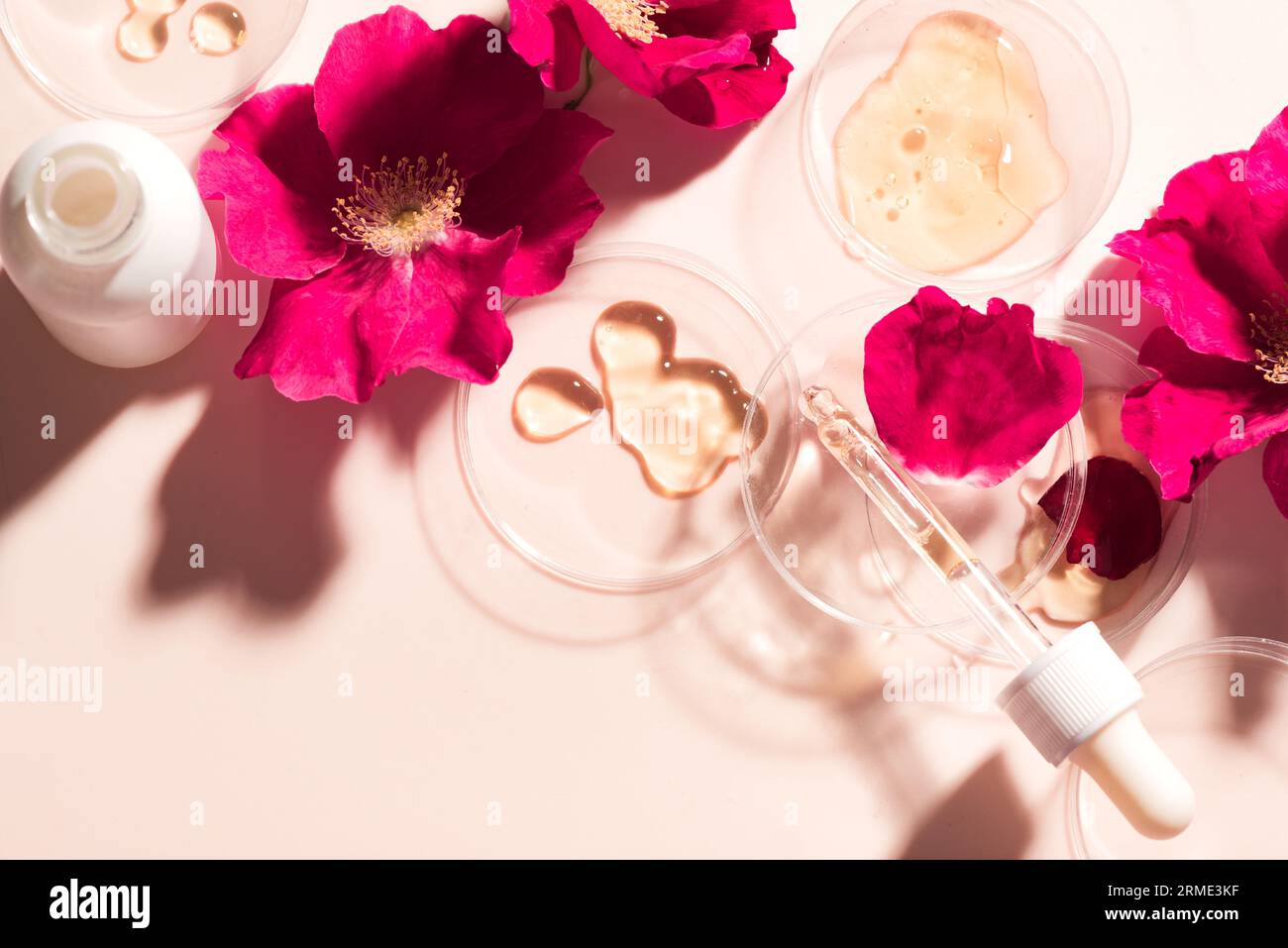 Natural cosmetic gel swatches in petri dish and pink rose flowers, top ...