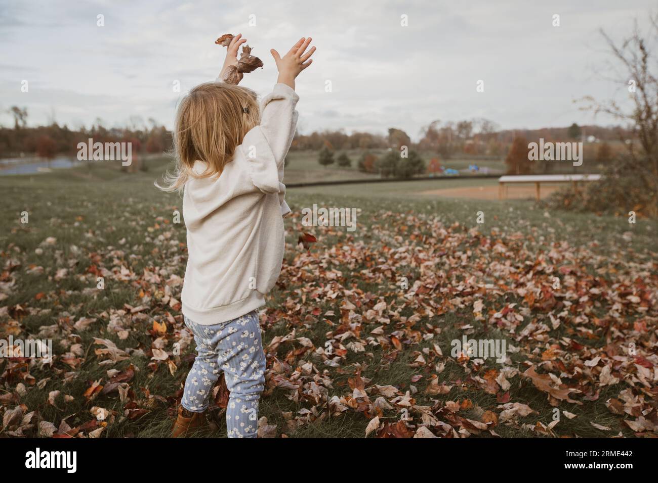 Little Girl throwing Fall Leaves Stock Photo - Alamy