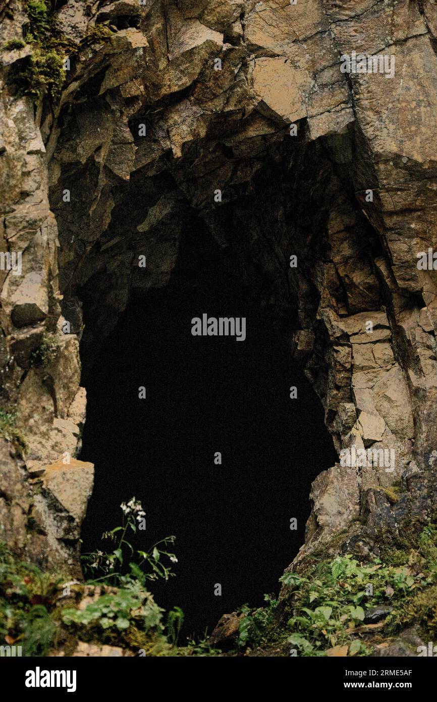 Bear cave hi-res stock photography and images - Alamy