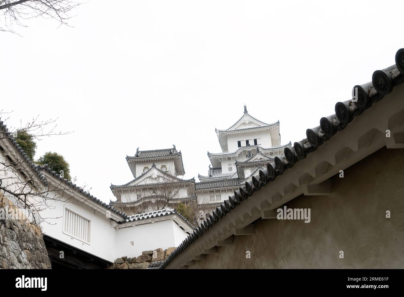 Himeji Castle with tree branch entering top frame Stock Photo - Alamy