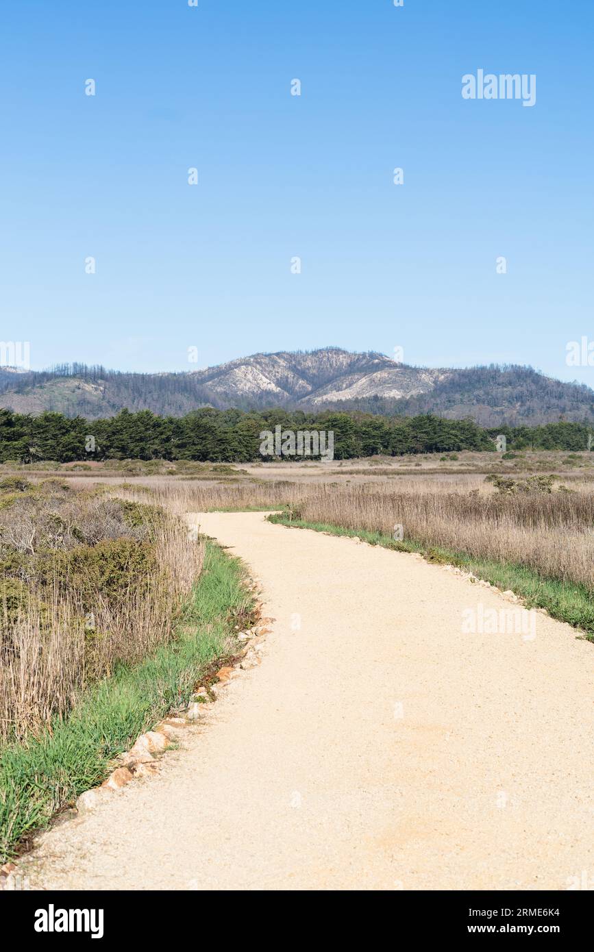 Winding Mountain Trail