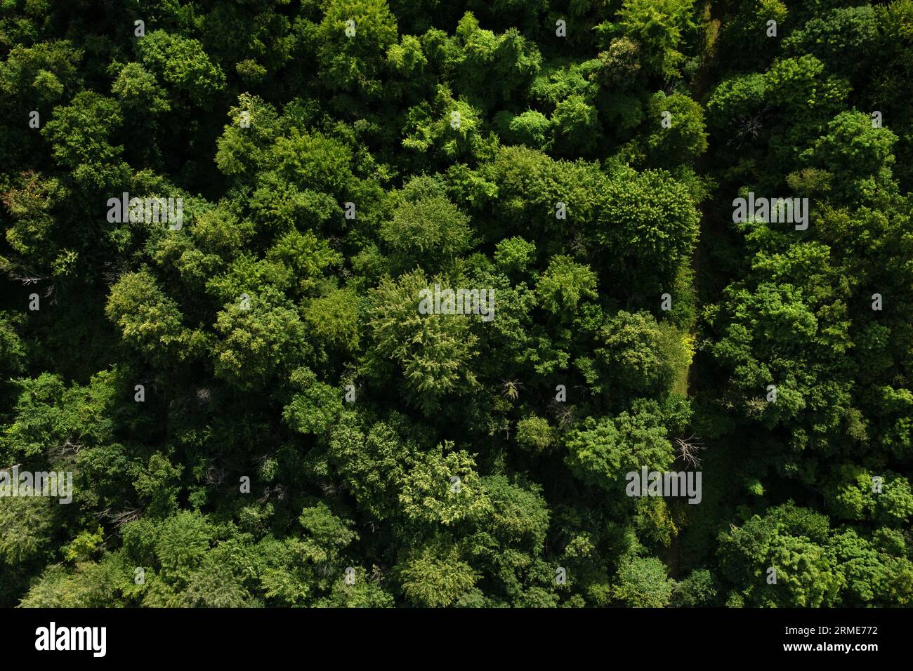 Drone looking down on flying hi-res stock photography and images - Alamy