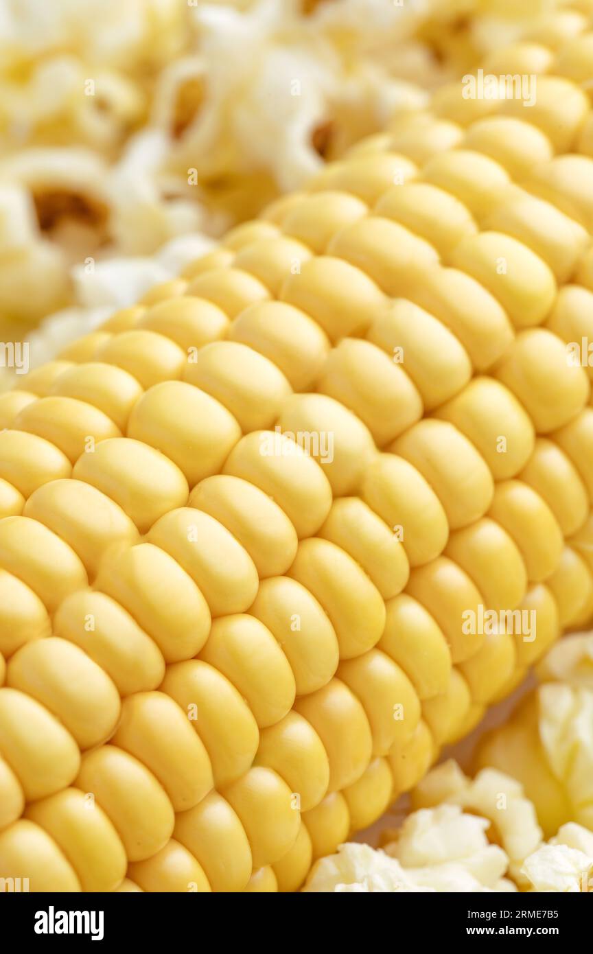 macro photo of a corn cob Stock Photo - Alamy