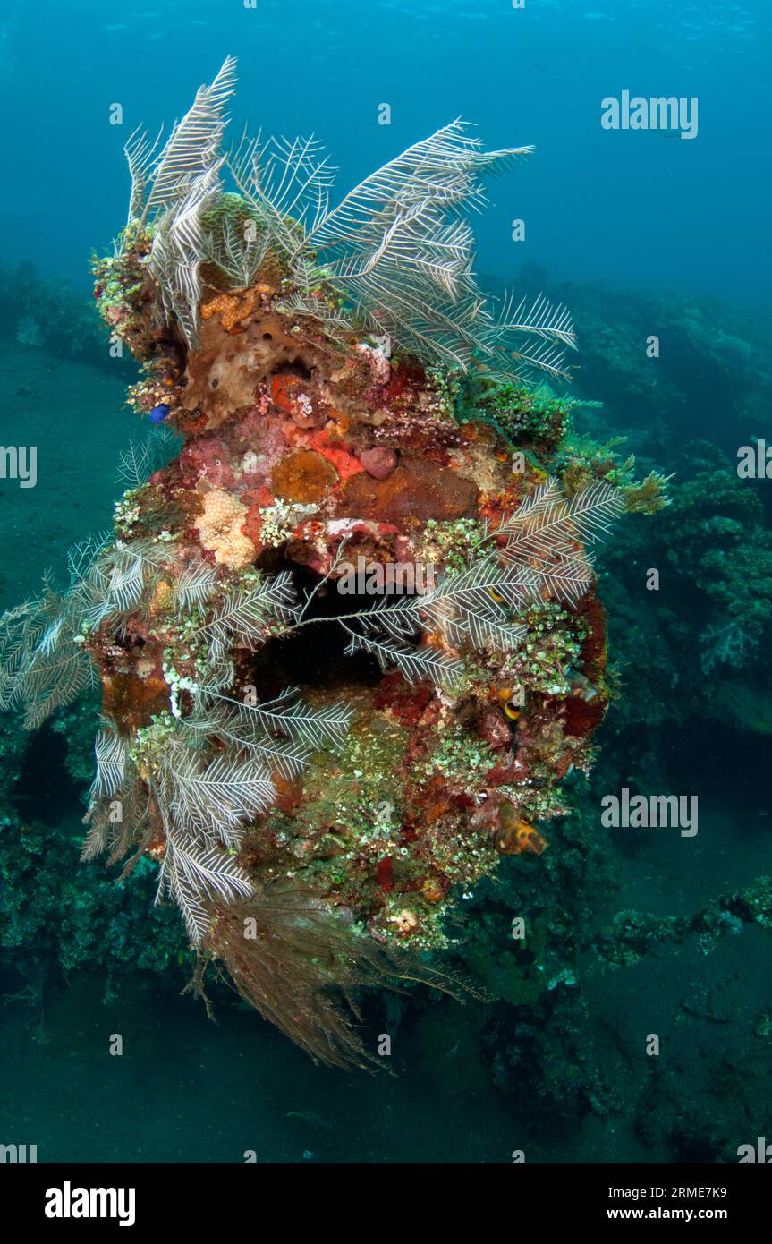 Coral-covered turret, Liberty Wreck dive site, Tulamben, Karangasem ...