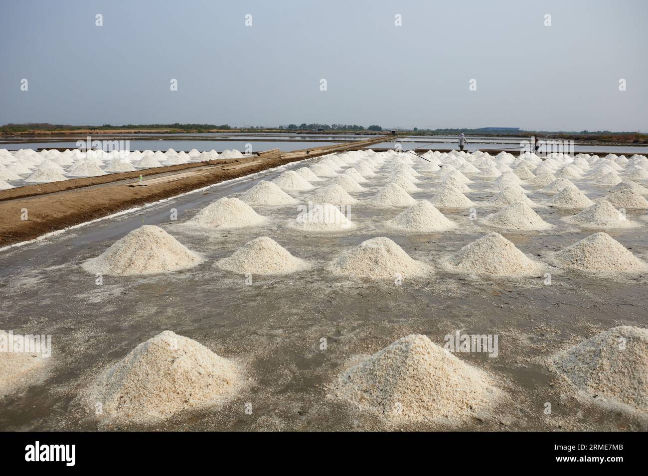 Rake salt hi-res stock photography and images - Alamy