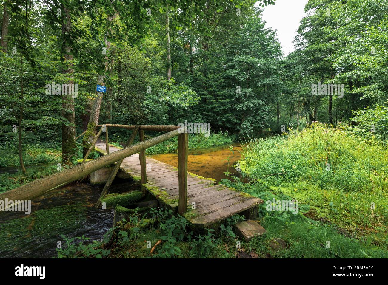 Wooden footbridge over small, calm, stream. Amazing, clean water and ...
