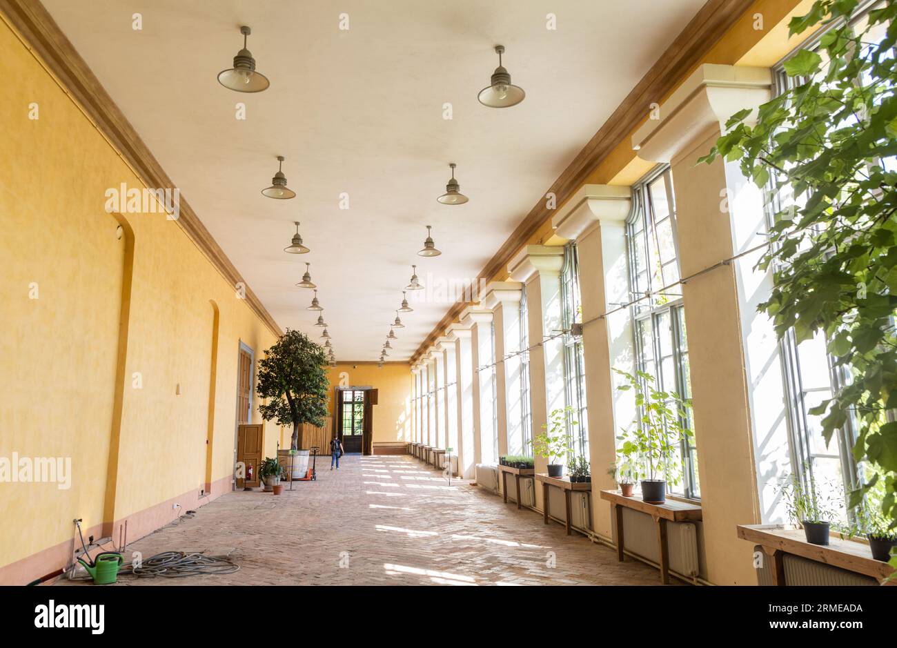 The University of Uppsala Botanical Garden (In Swedish: Botaniska ...