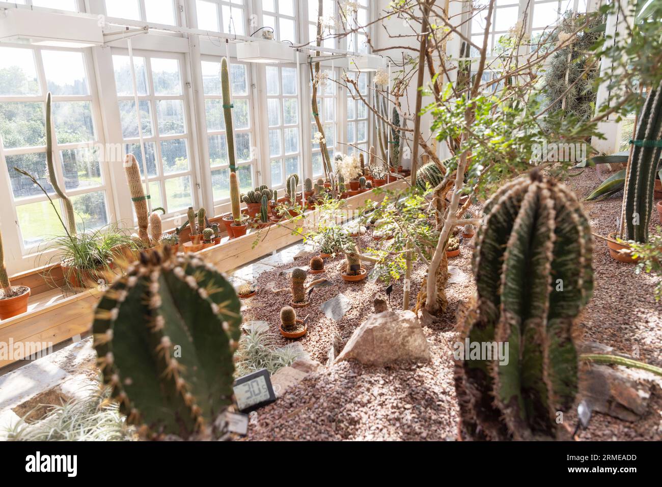 The University of Uppsala Botanical Garden (In Swedish: Botaniska ...