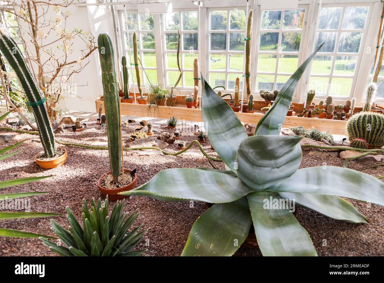 The University of Uppsala Botanical Garden (In Swedish: Botaniska ...