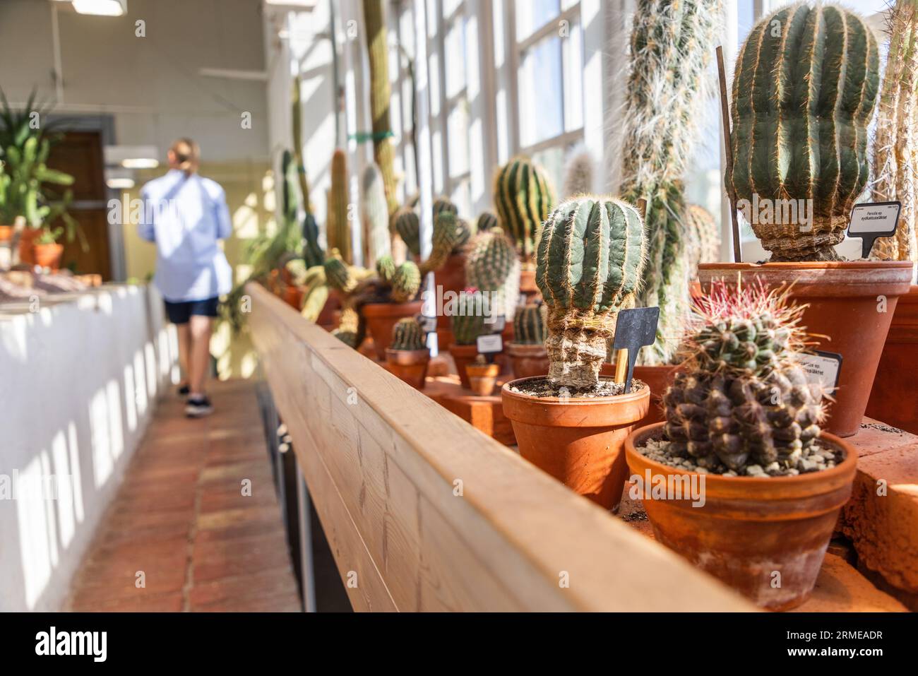The University of Uppsala Botanical Garden (In Swedish: Botaniska ...