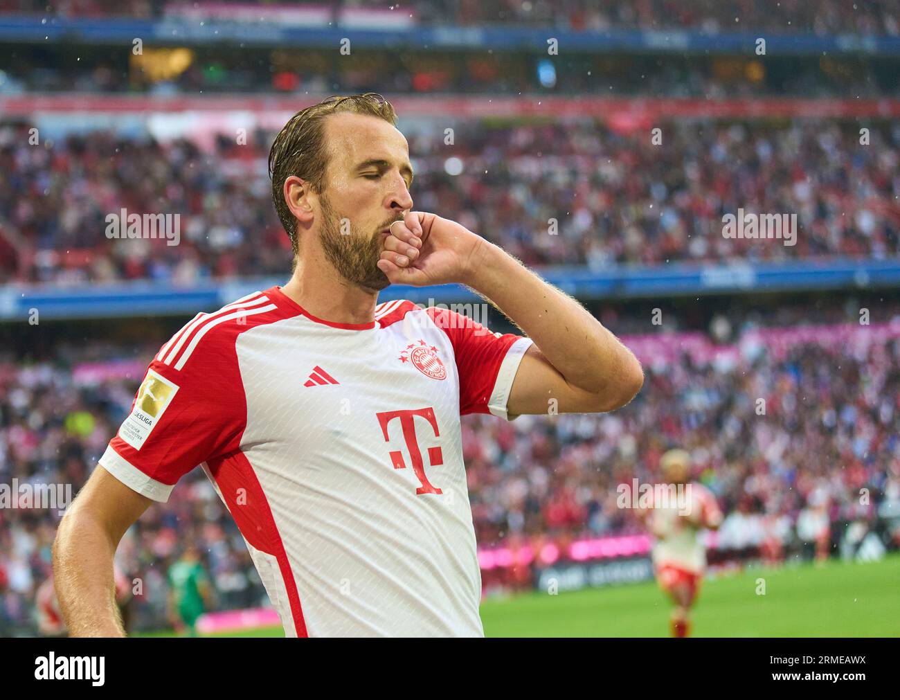 Harry kane bayern münchen hi-res stock photography and images - Alamy