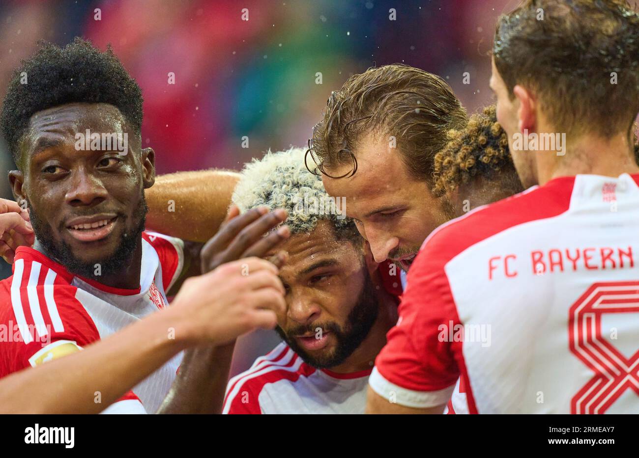 Alphonso davies celebrating hi-res stock photography and images - Alamy
