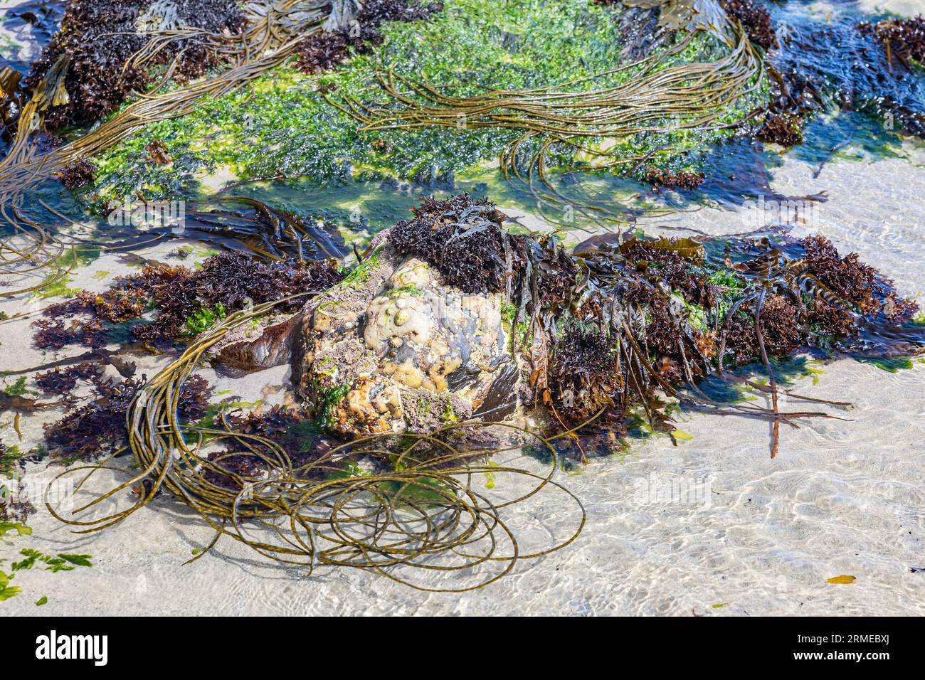 Murlough Bay, Northern Ireland, UK Stock Photo - Alamy