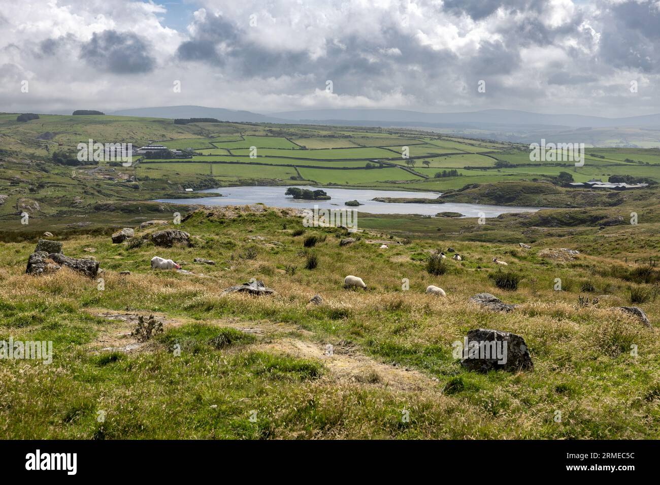 Farm crop crops ireland hi-res stock photography and images - Alamy