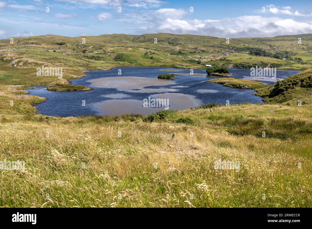 Farm crop crops ireland hi-res stock photography and images - Alamy