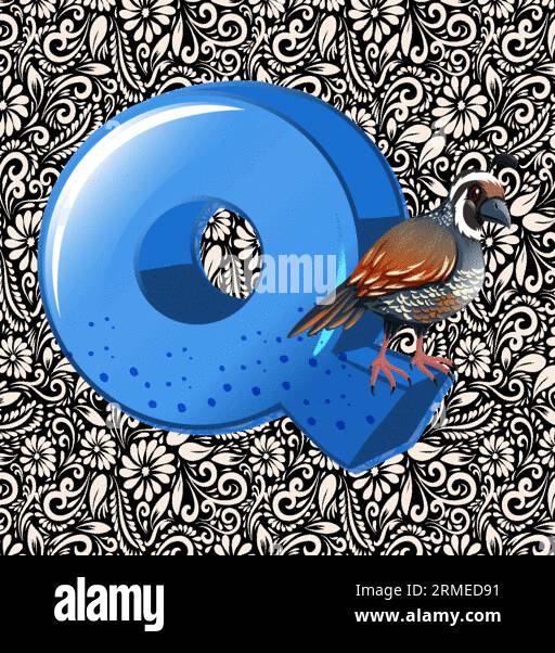 Alphabet Small Letter Q , Alphabet Letter Design, Alphabet Letter ...