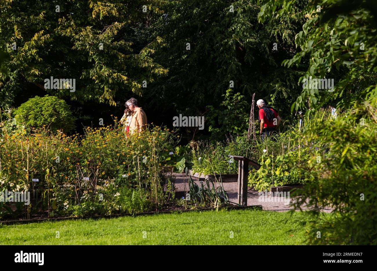 The University of Uppsala Botanical Garden (In Swedish: Botaniska ...
