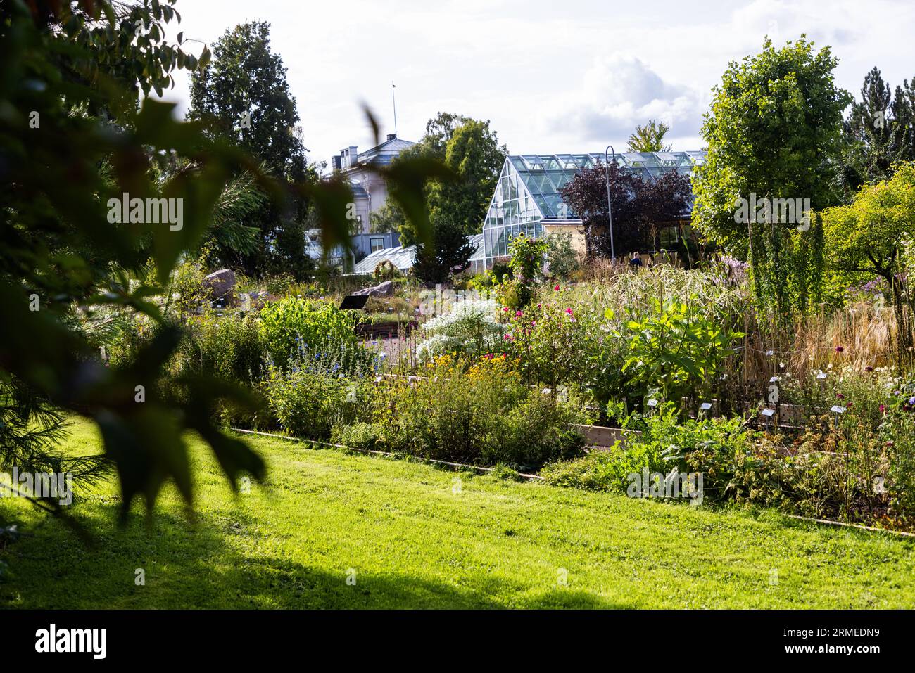 The University of Uppsala Botanical Garden (In Swedish: Botaniska ...