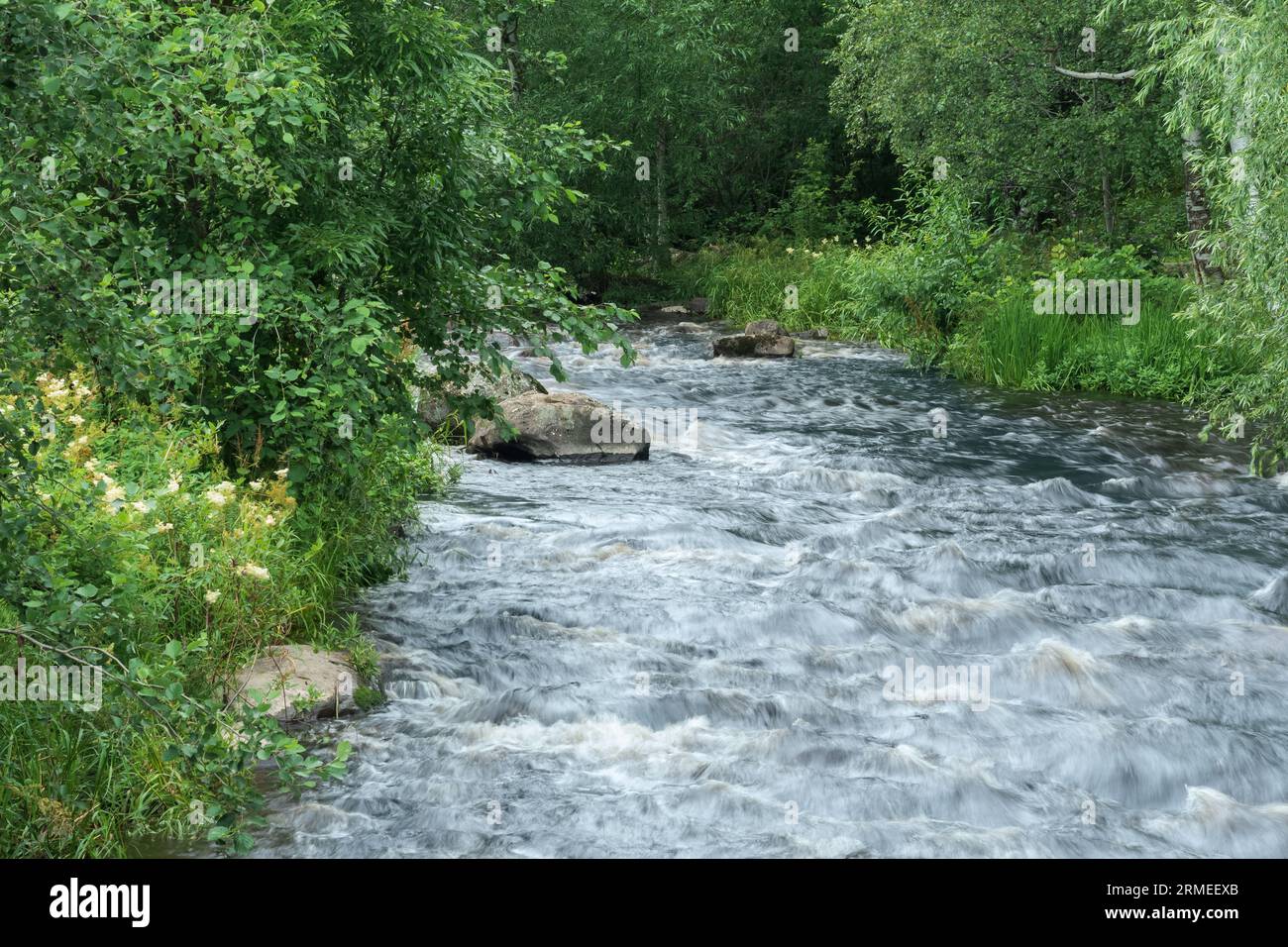 Fast mountain river clean water hi-res stock photography and images - Alamy